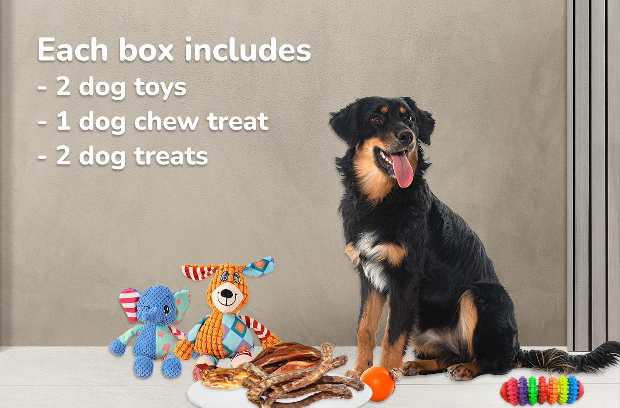 Personalized & Customized Pet Subscription Box | Paow Box